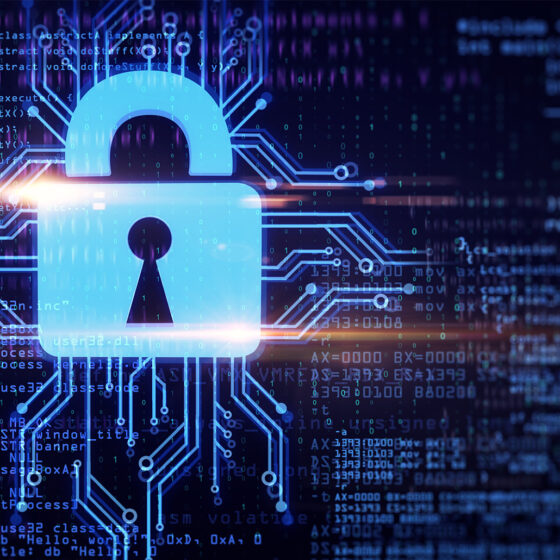 What Is The Secure Custom Software Development Lifecycle Liventus